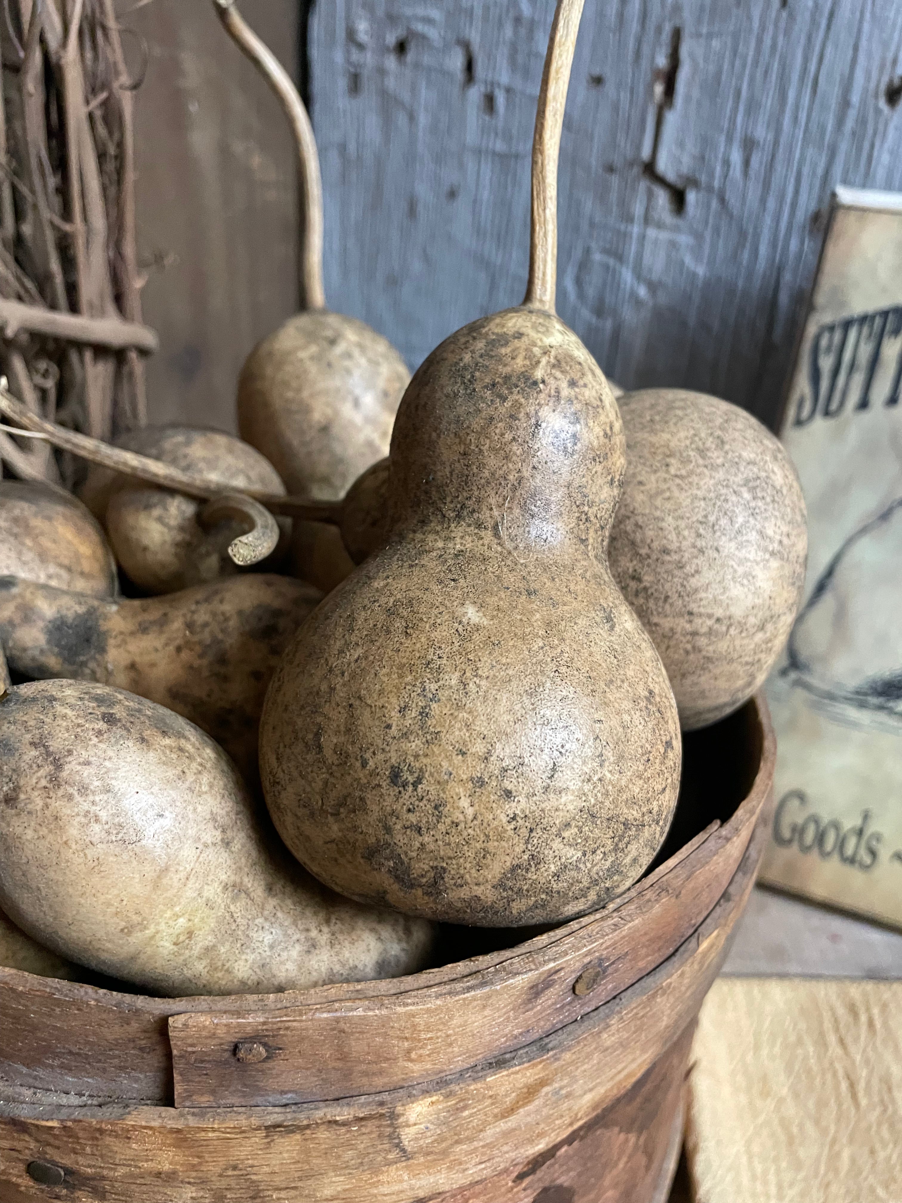 Primitive Dried Unwashed Medium Mix Gourds Bowl Fillers Set of 3,6,10 ...